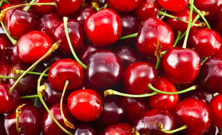 Don’t Throw Away Cherry Stems: Boil Them and See the Magic – Organic ...