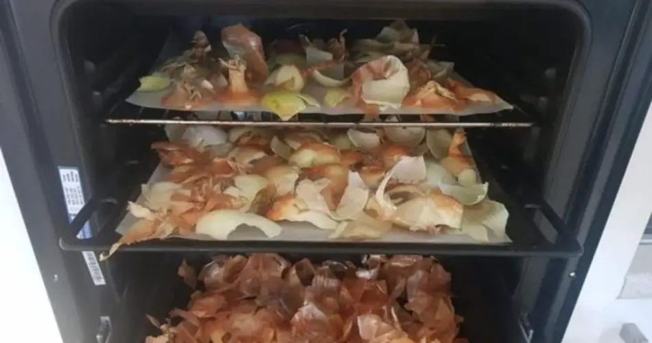 Amazing Benefits of Onion Skins: Just Bake Them for 10 Minutes ...