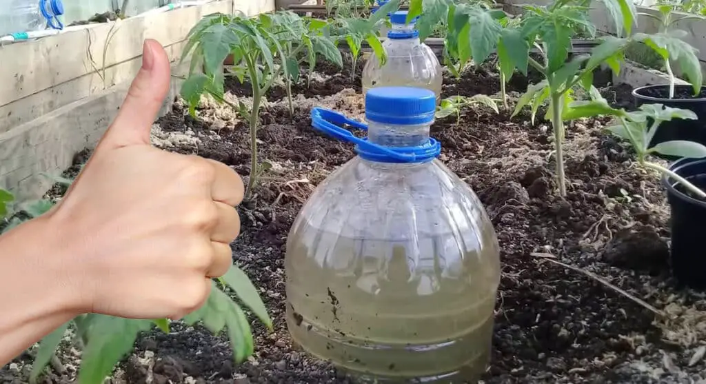 How to Create DIY Drip Irrigation from a Plastic Bottle: Simple and ...