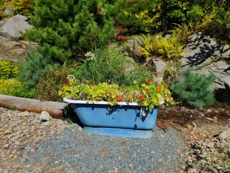 5 Creative Ways to Repurpose an Old Bathtub – Organic Gardening Tricks