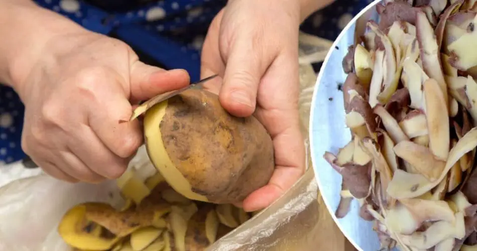 Don’t Rush to Dispose of Potato Skins: They Have Valuable Uses ...