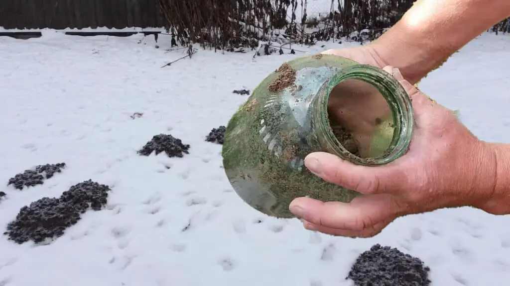 What to Do in Winter to Get Rid of Moles: An Effective Approach ...