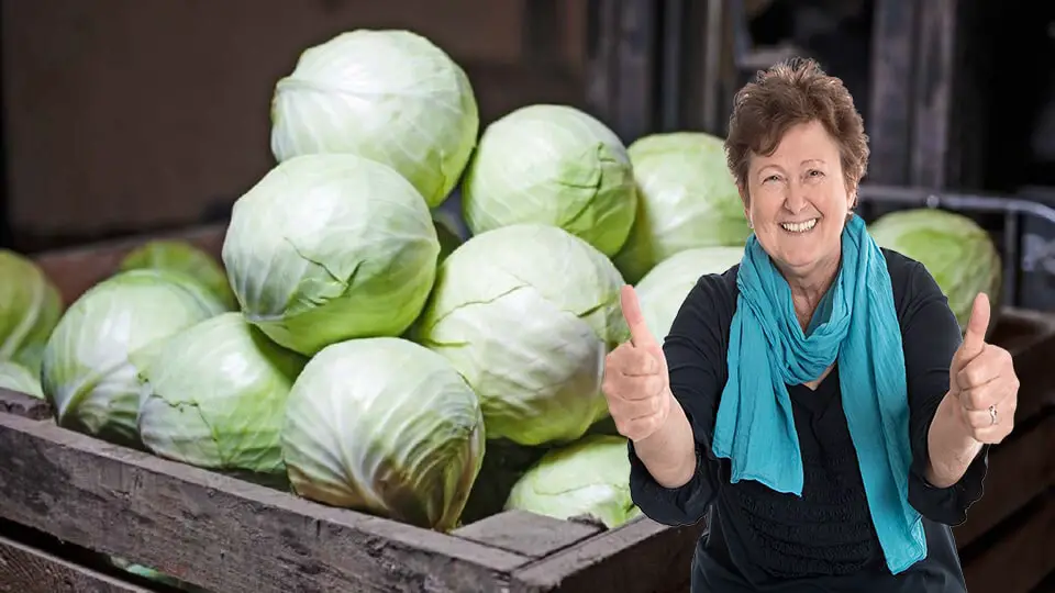 Cabbage Storage Secrets: How to Keep It Fresh Until Mid-Spring ...