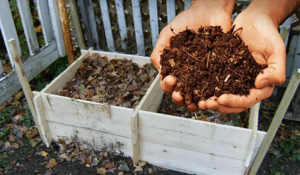 Creating High-Quality Autumn Compost: Why You’ll No Longer Need Store ...