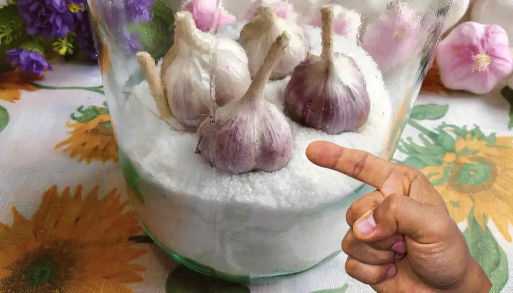 How to Store Fresh Garlic All Year Round: Tips for Preparation and ...