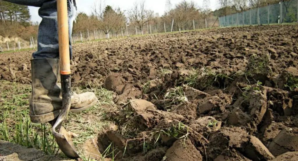 Mastering Autumn Soil Digging: A Guide to Preparing Your Garden for ...