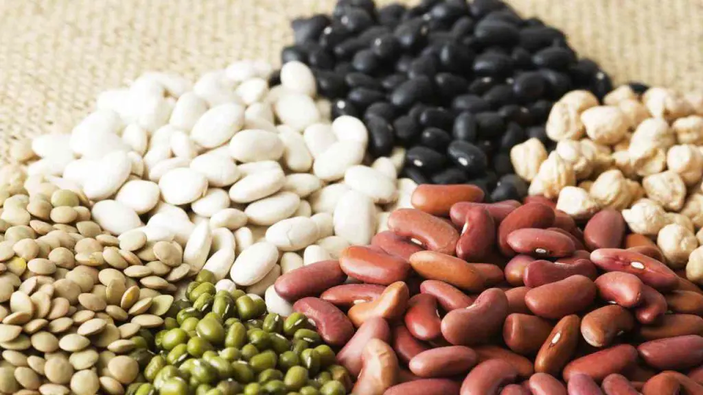 The Ultimate Trick to Make Legumes Light and Super Digestible – Organic ...