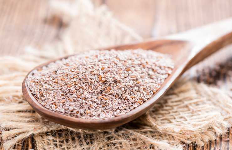 Psyllium: The Incredible Natural Remedy and Its Benefits 🌿 – Organic ...