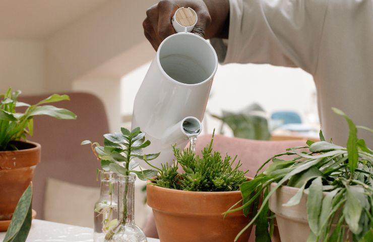 💦 The Trick to Never Watering Your Plants Again! – Organic Gardening Tricks