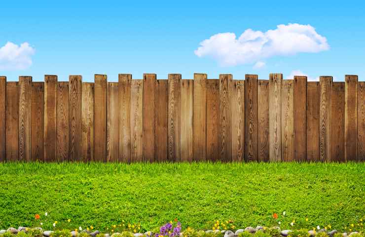🌿 Budget-Friendly Garden Fencing: Affordable Tricks for a Secure ...
