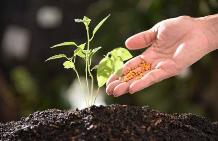 🌱 DIY Natural Fertilizer: Save Money & Boost Your Plants’ Growth ...